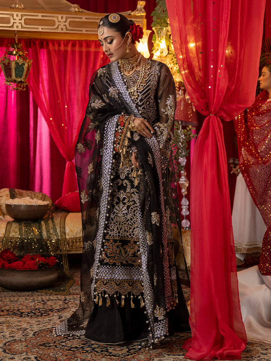 Nooraniyat Fancy Bin Ilyas Collection – Binilyas